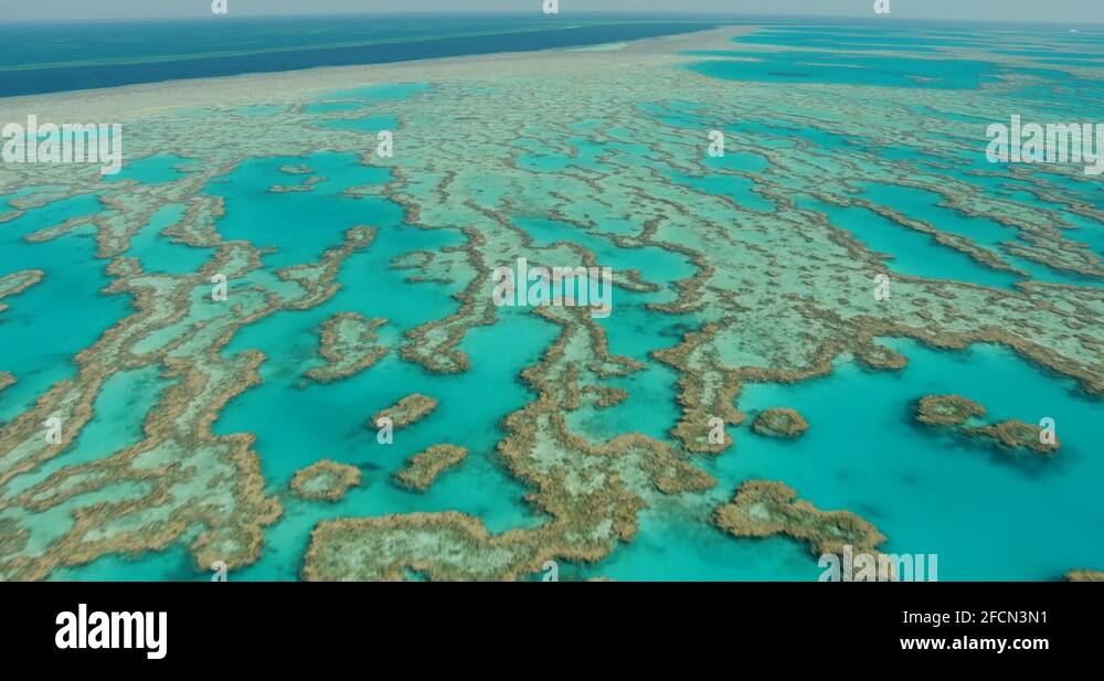 Coral reef aerial Stock Videos & Footage - HD and 4K Video Clips - Alamy