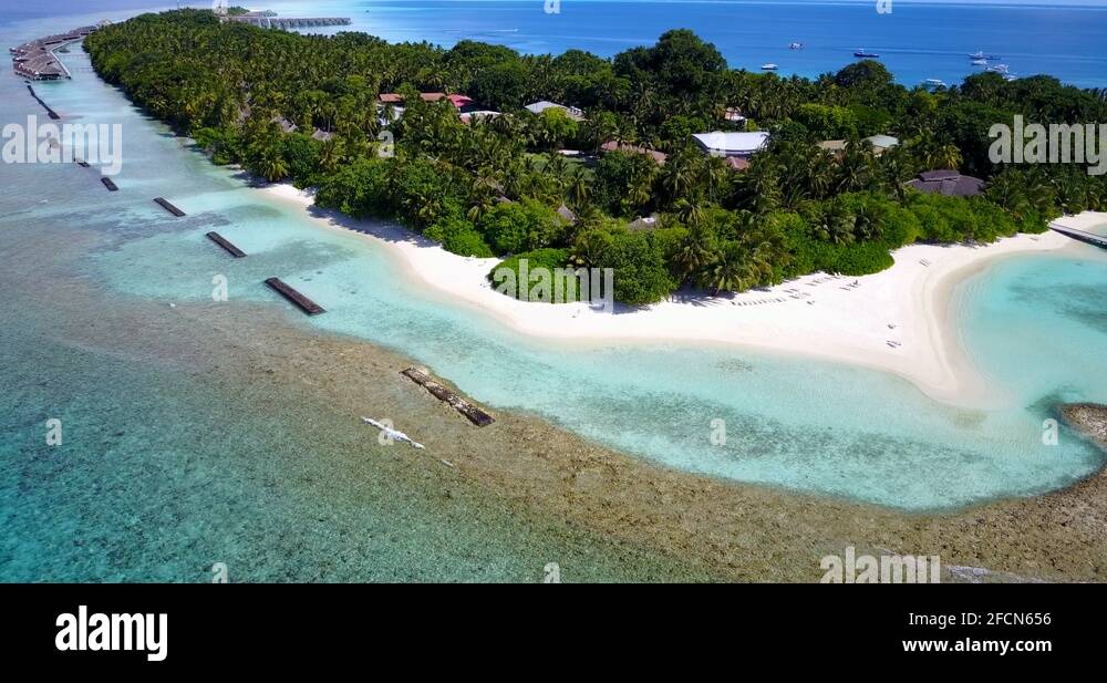 A lush tropical island in the Maldives covered in green jungle and ...