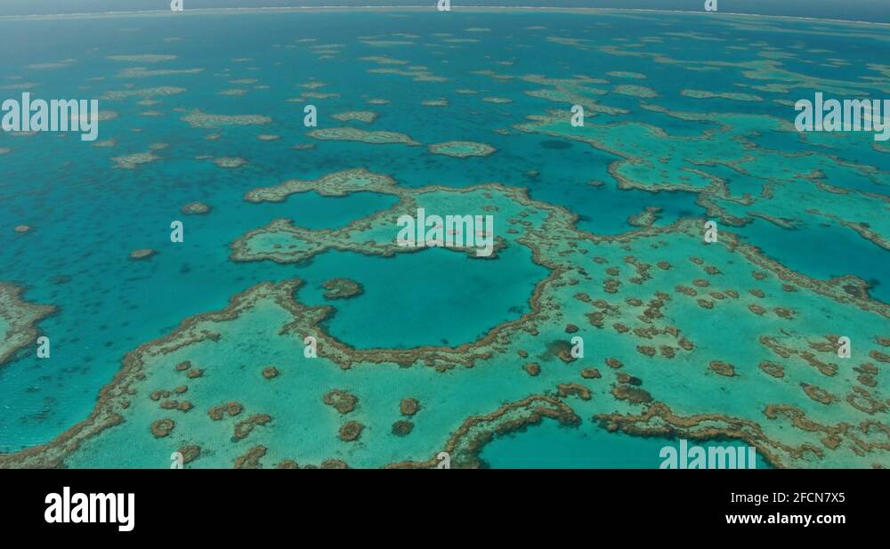 Hardy lagoon Stock Videos & Footage - HD and 4K Video Clips - Alamy