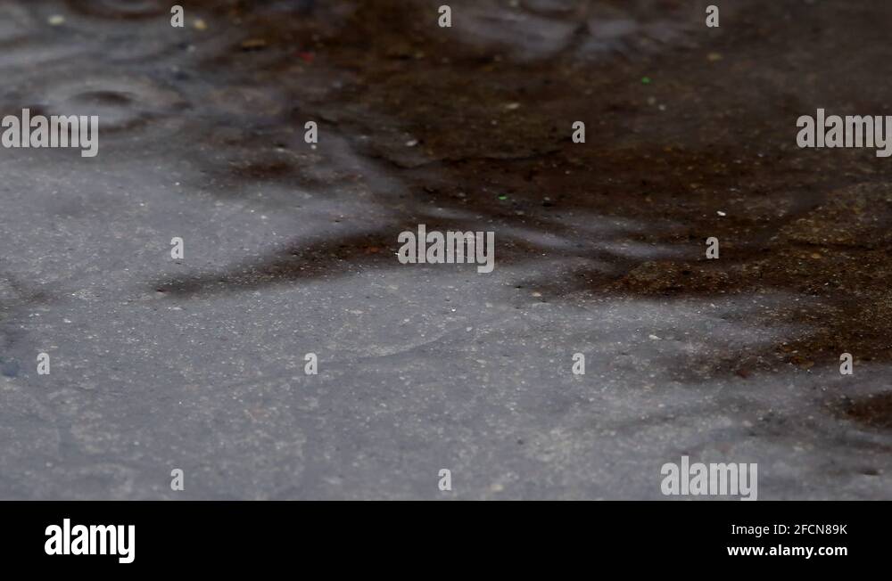 Rain water on pavement Stock Videos & Footage - HD and 4K Video Clips ...