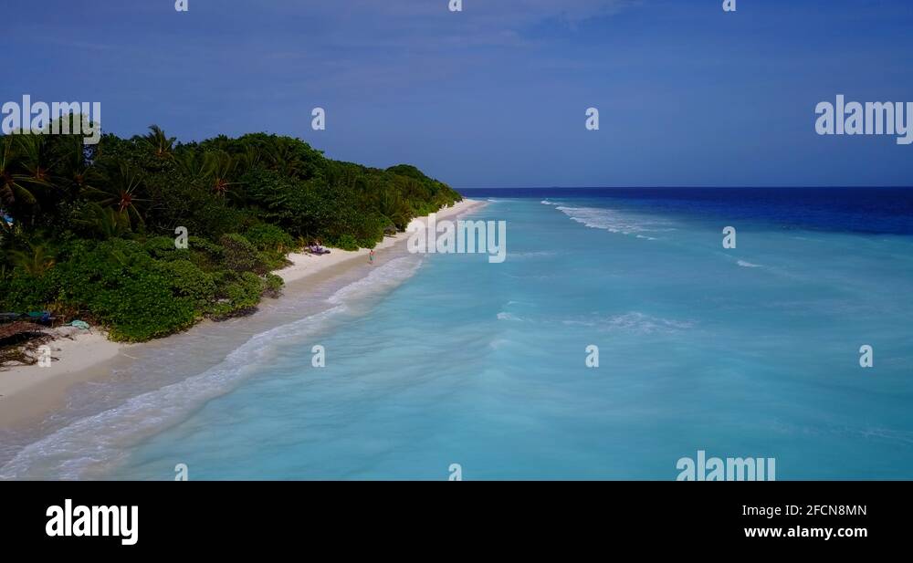 Palm Trees Island Tropical Beach Waves Stock Videos Footage Hd And