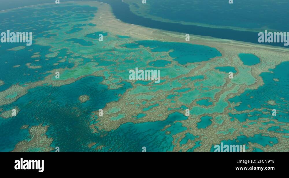 Coral formations great barrier Stock Videos & Footage - HD and 4K Video ...