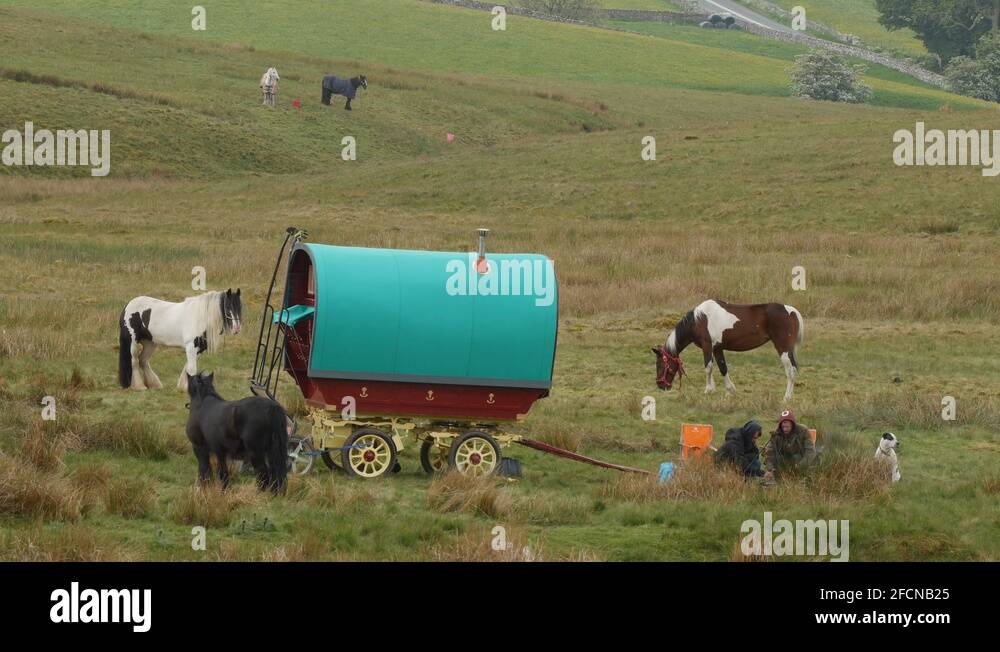 Horse drawn caravans Stock Videos & Footage - HD and 4K Video Clips - Alamy
