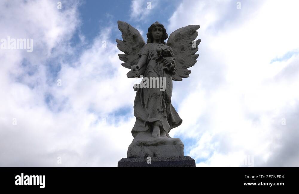 Angel wings sky Stock Videos & Footage - HD and 4K Video Clips - Alamy