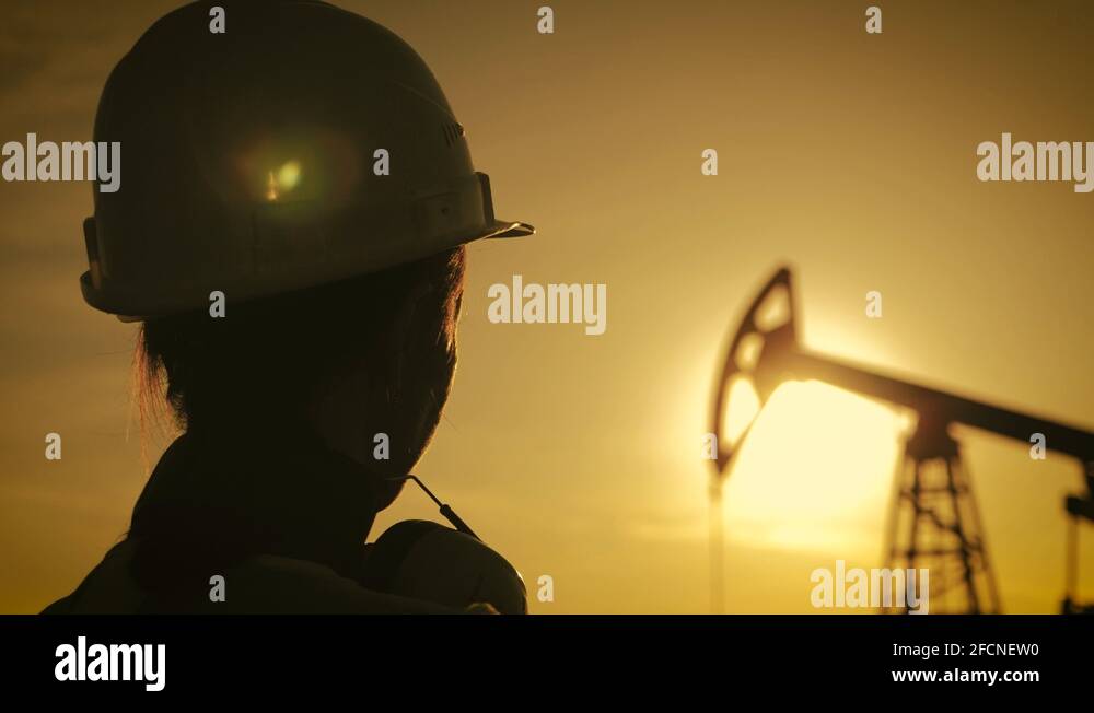 Woman engineer silhouette Stock Videos & Footage - HD and 4K Video ...