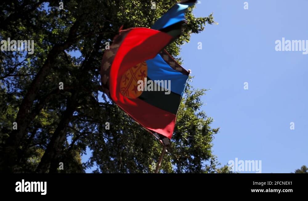 Mapuche flag Stock Videos & Footage - HD and 4K Video Clips - Alamy