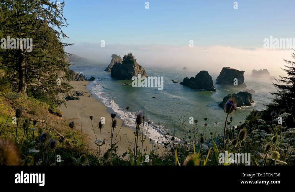 Samuel boardman state park Stock Videos & Footage - HD and 4K Video ...