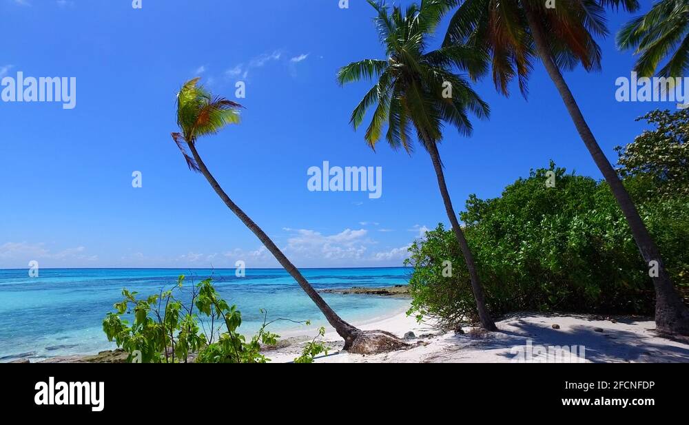 Wind by beach Stock Videos & Footage - HD and 4K Video Clips - Alamy