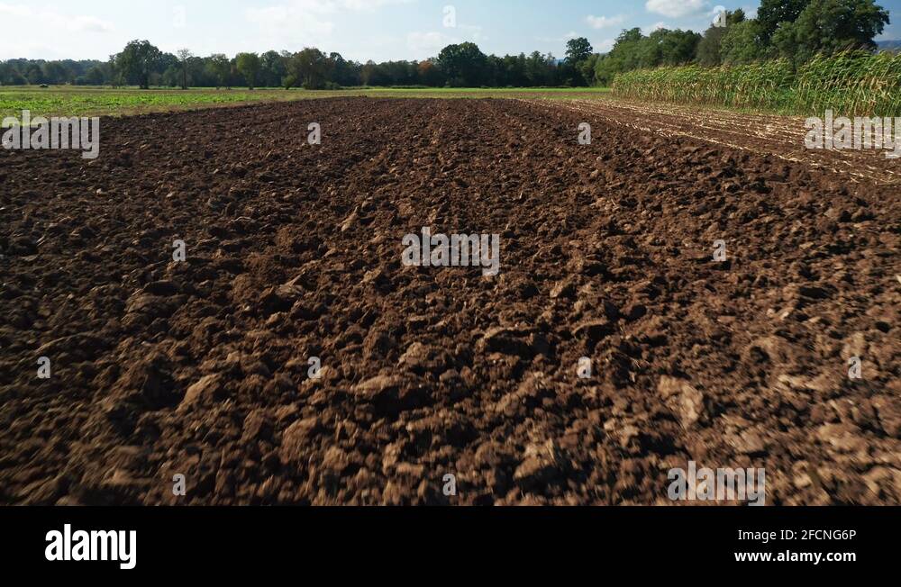 Field hedges Stock Videos & Footage - HD and 4K Video Clips - Alamy