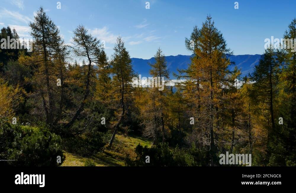 Cameraturnup Stock Videos & Footage - HD and 4K Video Clips - Alamy