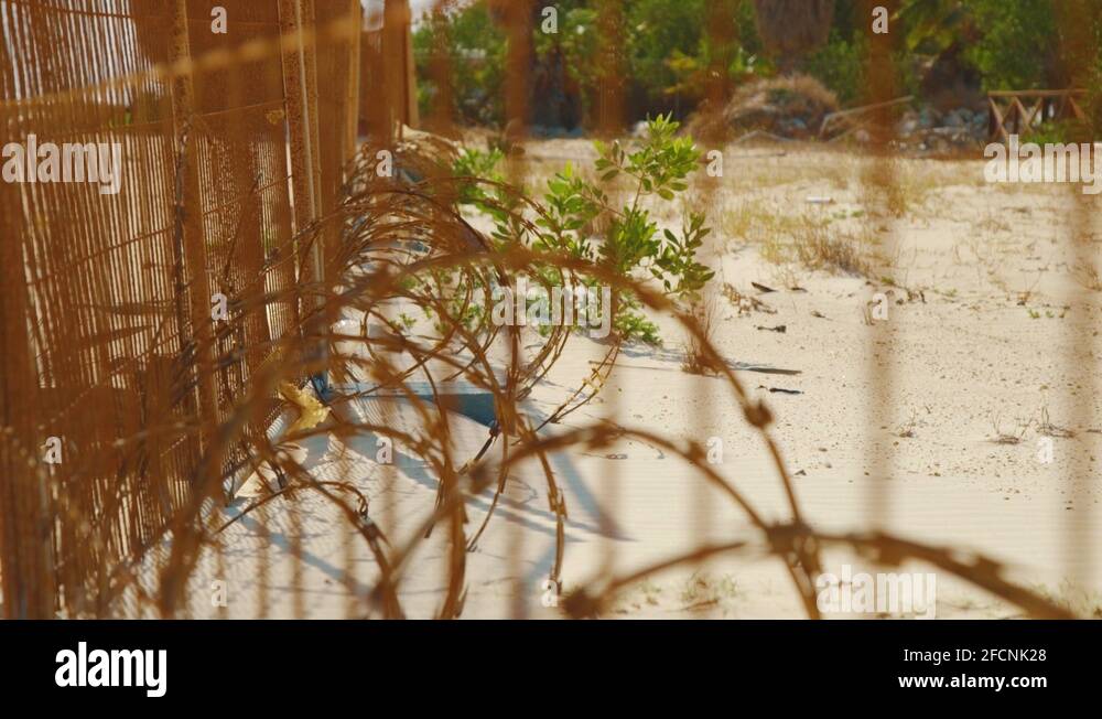 Barbed wire on the beach Stock Videos & Footage - HD and 4K Video Clips ...