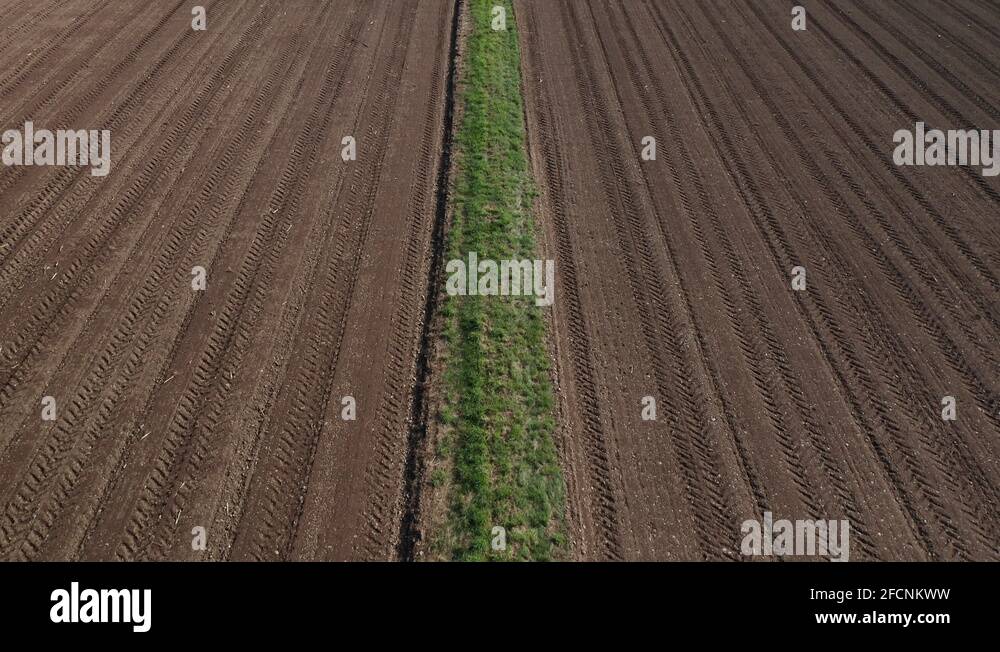Green grass border between two fields, split in half, abstract concept ...