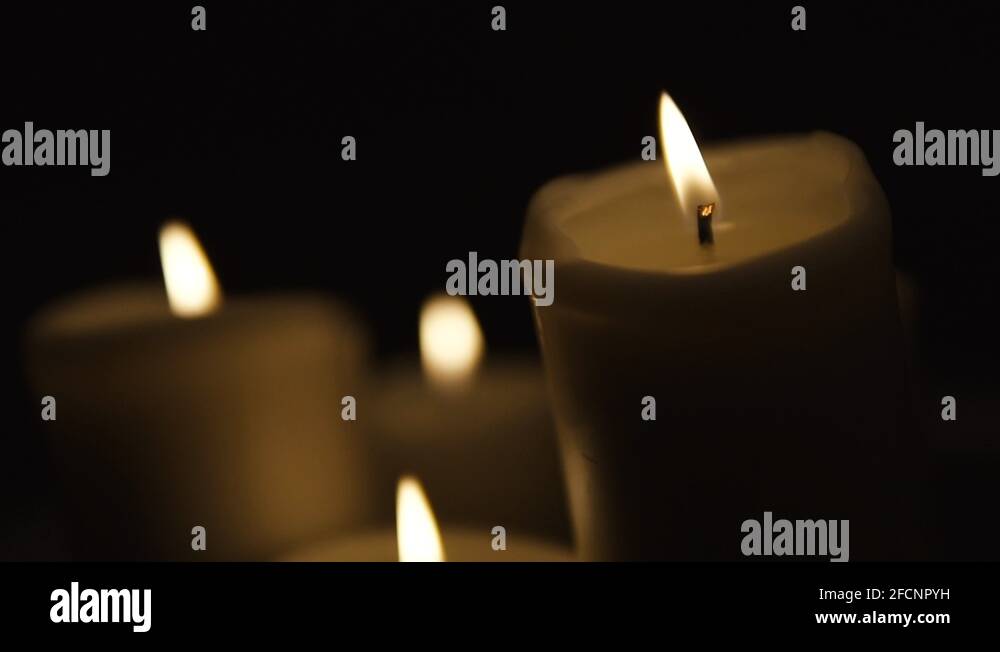 Sharp image Stock Videos & Footage - HD and 4K Video Clips - Alamy