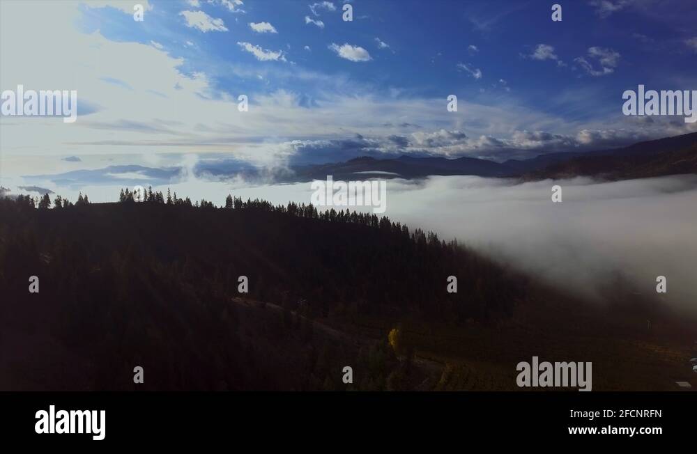 Fog line Stock Videos & Footage - HD and 4K Video Clips - Alamy