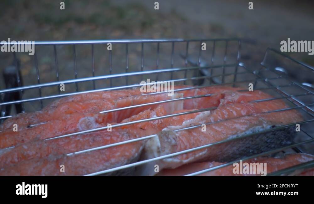 Grilled fish fillets Stock Videos & Footage - HD and 4K Video Clips - Alamy