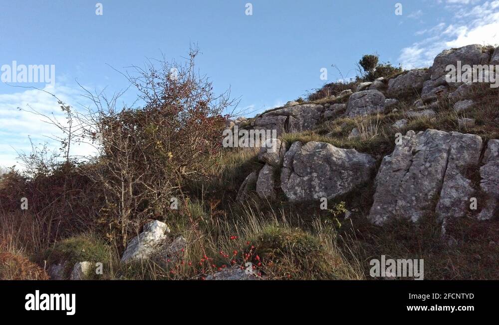 Limestone lake district Stock Videos & Footage - HD and 4K Video Clips ...
