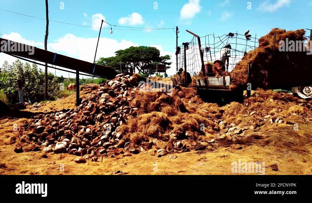 Coir machine Stock Videos & Footage - HD and 4K Video Clips - Alamy