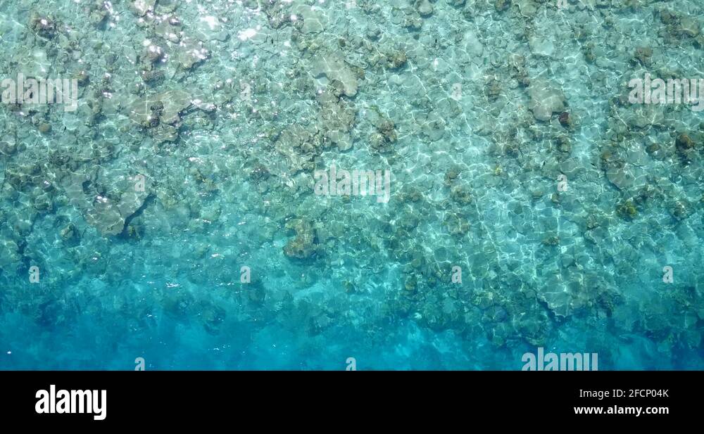 Clear lagoon Stock Videos & Footage - HD and 4K Video Clips - Alamy