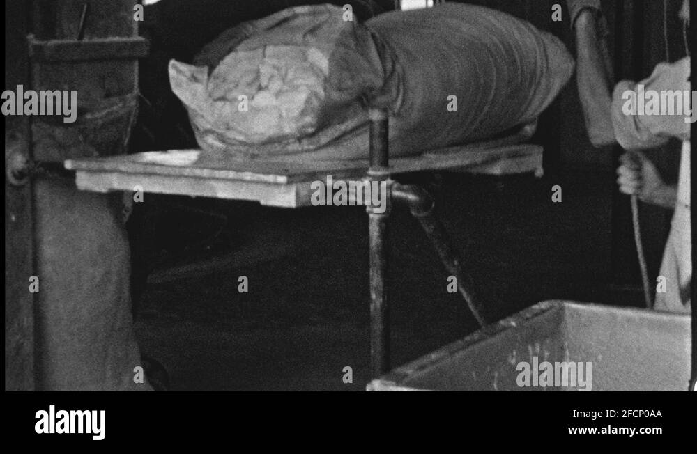 Toothpaste production Stock Videos & Footage - HD and 4K Video Clips ...