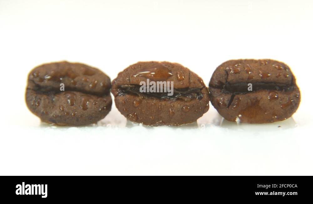 3 coffee beans Stock Videos & Footage - HD and 4K Video Clips - Alamy
