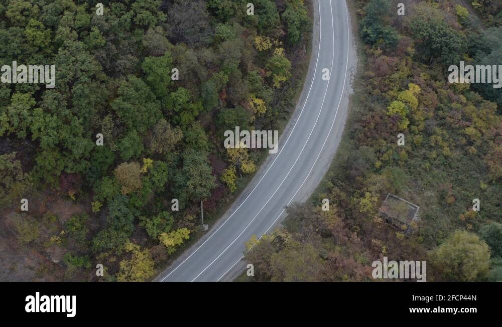 Forest lanes Stock Videos & Footage - HD and 4K Video Clips - Alamy