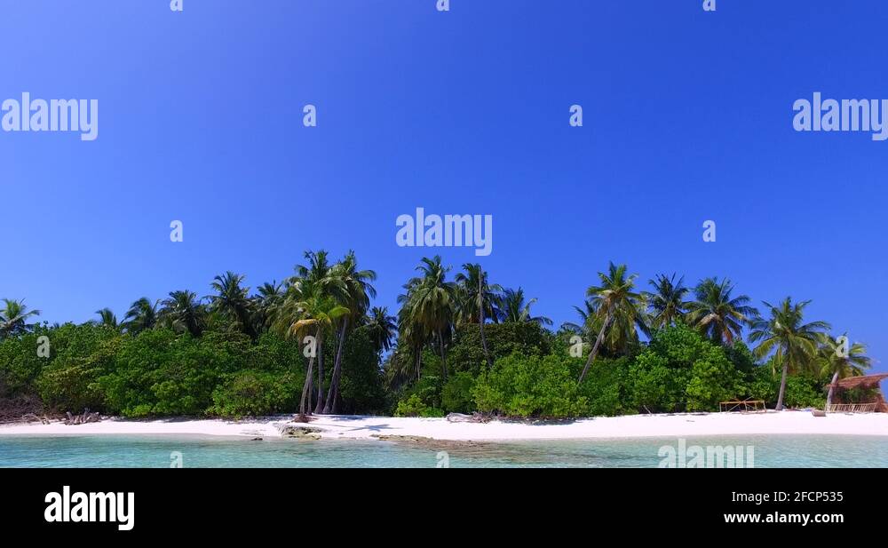 Luxury holiday palm trees Stock Videos & Footage - HD and 4K Video ...