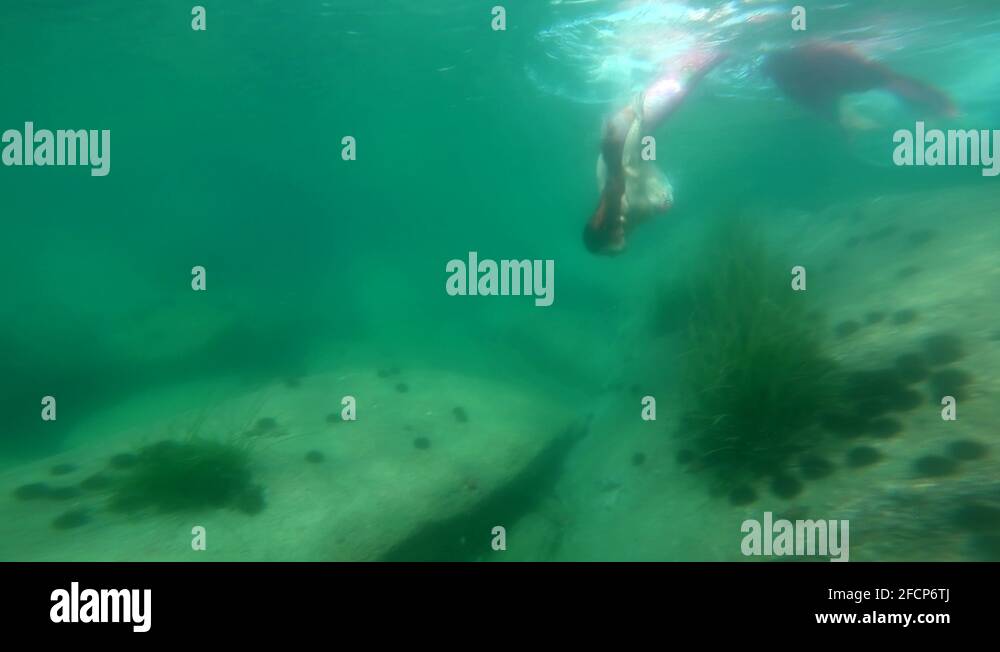 Mermaid life Stock Videos & Footage - HD and 4K Video Clips - Alamy