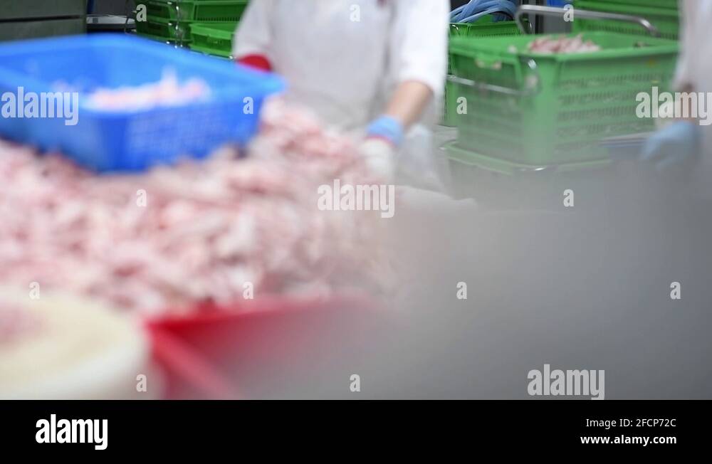 Chopping meat Stock Videos & Footage - HD and 4K Video Clips - Alamy
