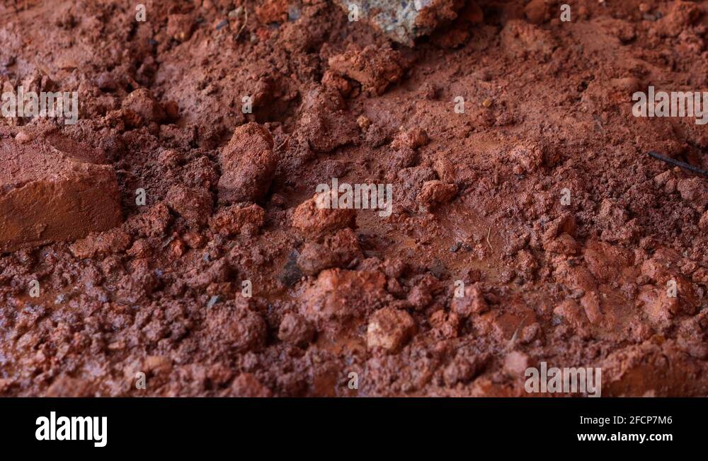 Footprint and mud and pavement Stock Videos & Footage - HD and 4K Video ...