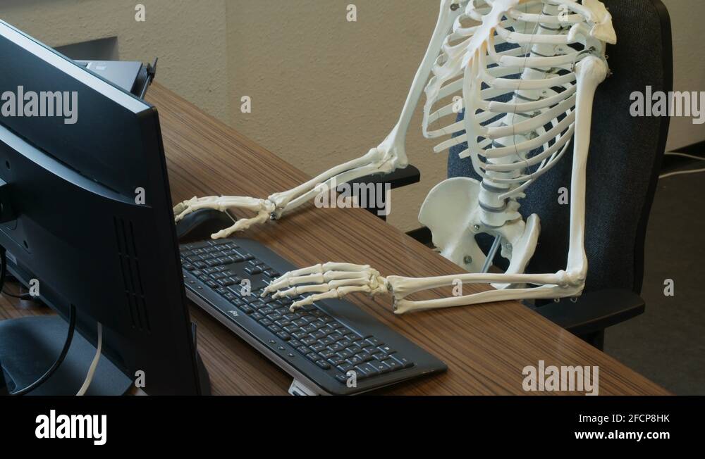 Skeleton sitting Stock Videos & Footage - HD and 4K Video Clips - Alamy