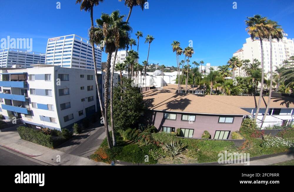 Dolly East Near Palm Trees in Hollywood, California 4K Stock Video ...