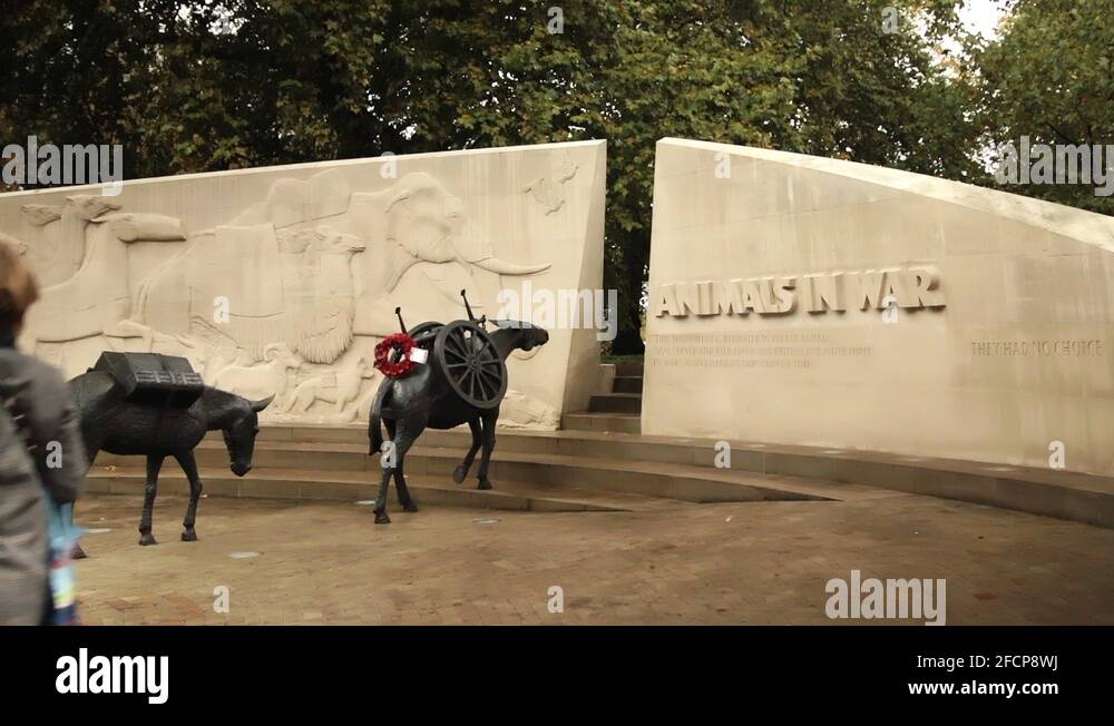 Animal memorial london Stock Videos & Footage - HD and 4K Video Clips ...