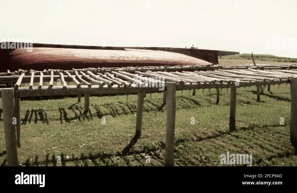 Fish drying racks Stock Videos & Footage - HD and 4K Video Clips - Alamy