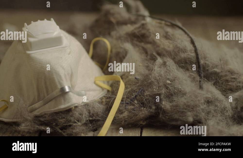 Dusty background Stock Videos & Footage - HD and 4K Video Clips - Alamy