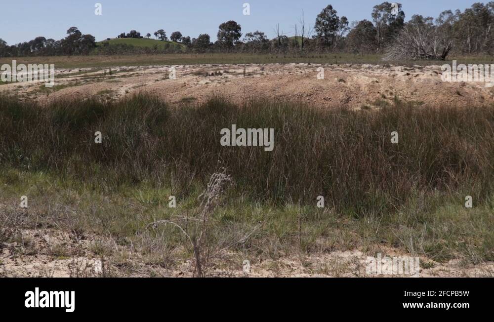 Exposed stream bed Stock Videos & Footage - HD and 4K Video Clips - Alamy