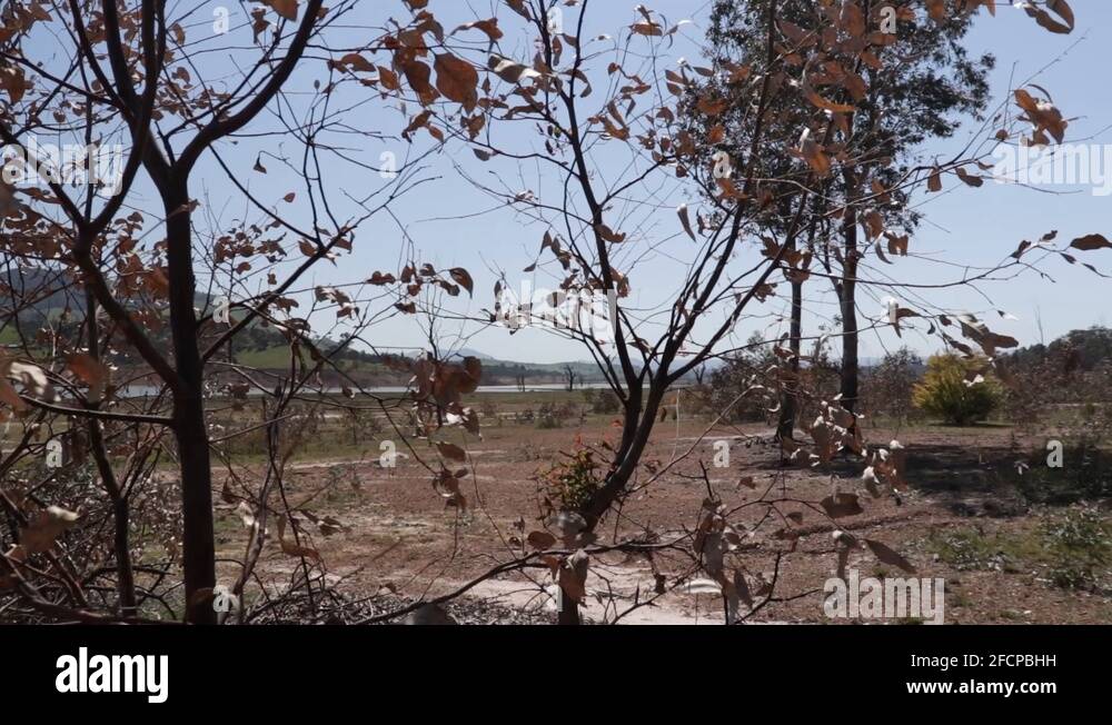 Barron land Stock Videos & Footage - HD and 4K Video Clips - Alamy