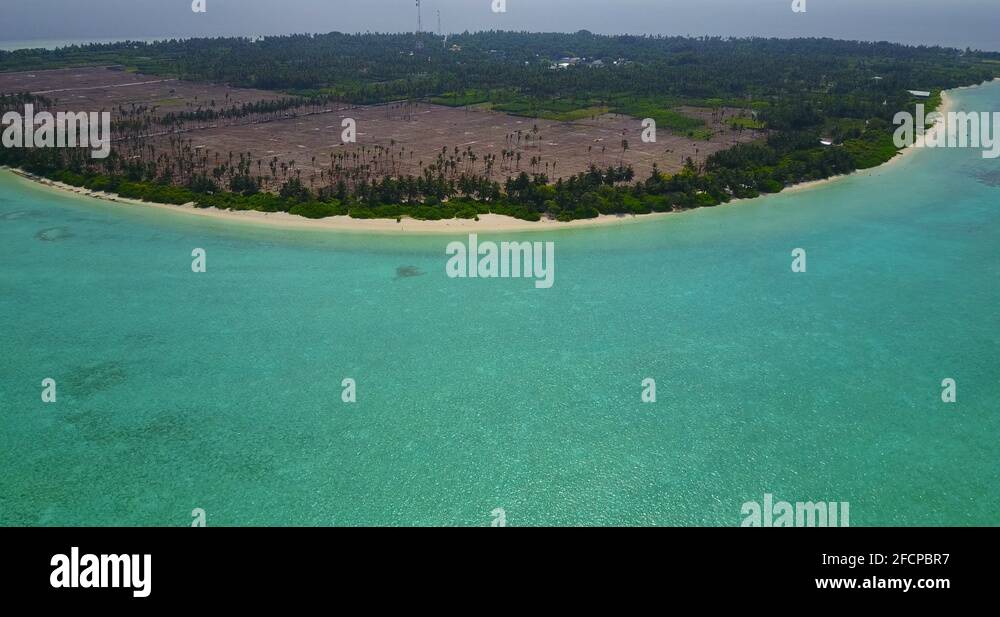 Palm oil deforestation south america Stock Videos & Footage - HD and 4K ...