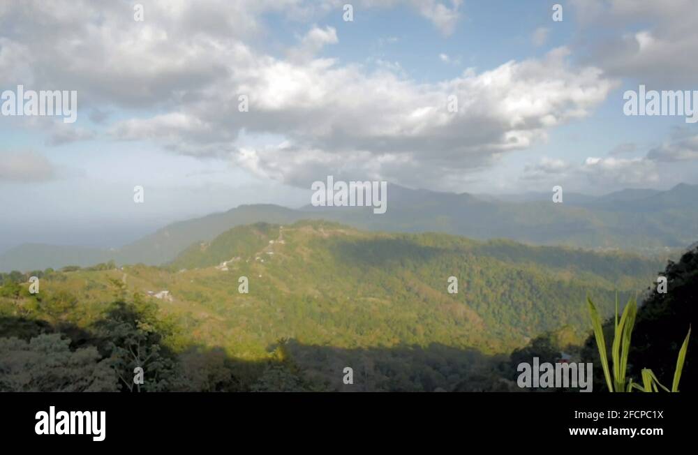 Tree covered hillside Stock Videos & Footage - HD and 4K Video Clips ...