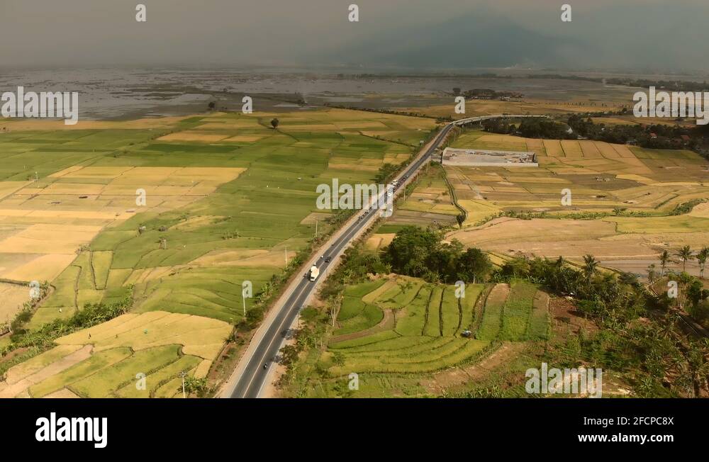 Green and yellow rice Stock Videos & Footage - HD and 4K Video Clips ...