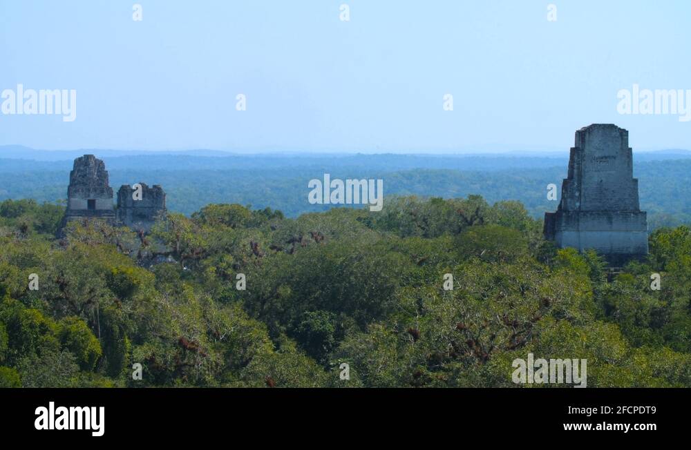 Tikal temples Stock Videos & Footage - HD and 4K Video Clips - Alamy