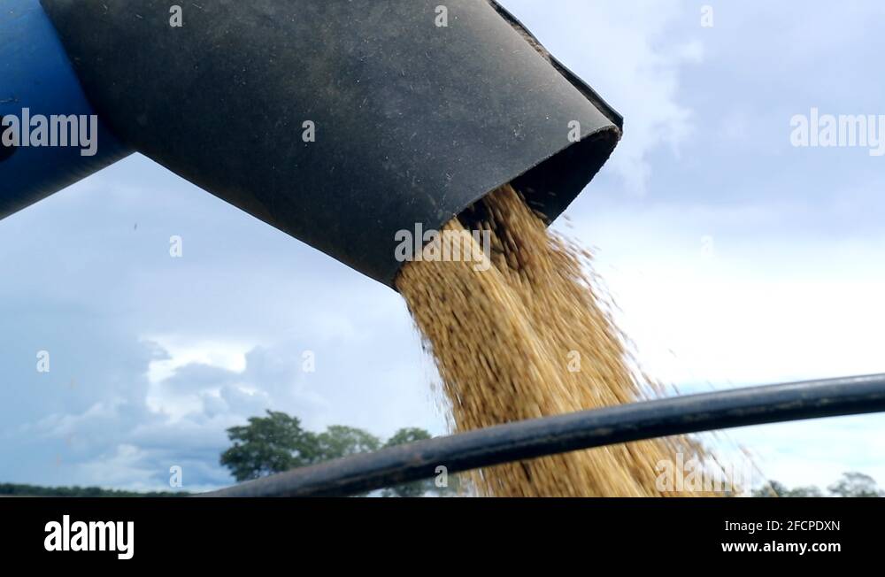 Worker produce production trailer Stock Videos & Footage - HD and 4K ...