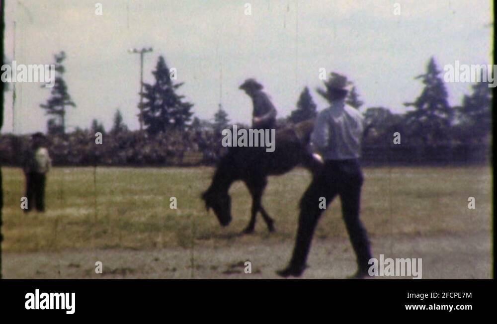 Bareback bronc rider Stock Videos & Footage - HD and 4K Video Clips - Alamy