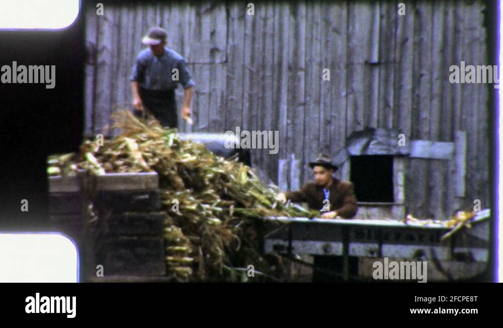 Iowa corn 1950s Stock Videos & Footage - HD and 4K Video Clips - Alamy
