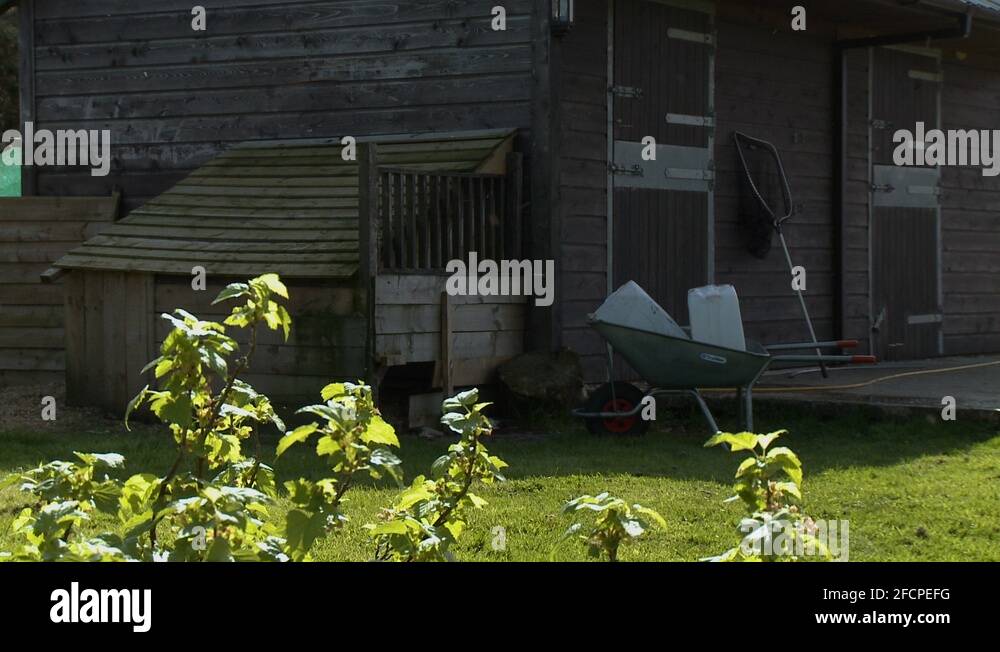 Chicken coup garden Stock Videos & Footage - HD and 4K Video Clips - Alamy