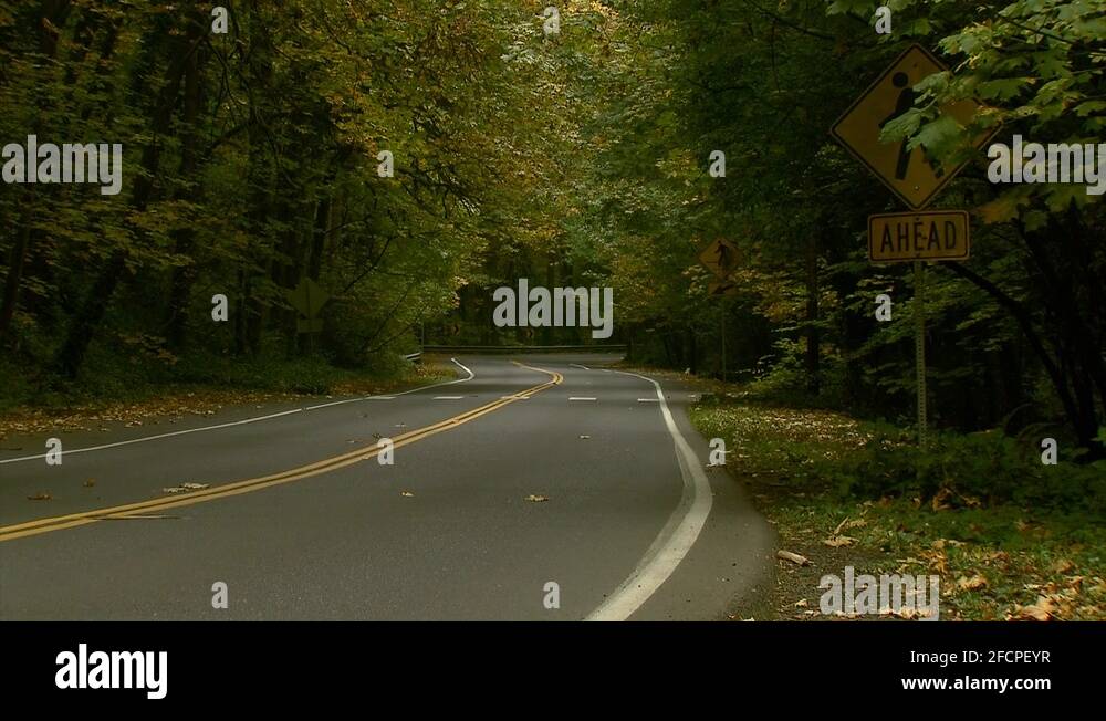 Road crosswalk empty street Stock Videos & Footage - HD and 4K Video ...