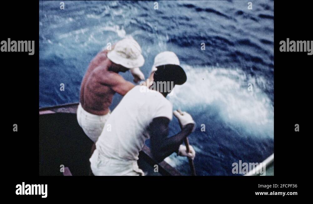 1950s: Water, men lean over tuna fishing boat, wrestle large fish, drag ...