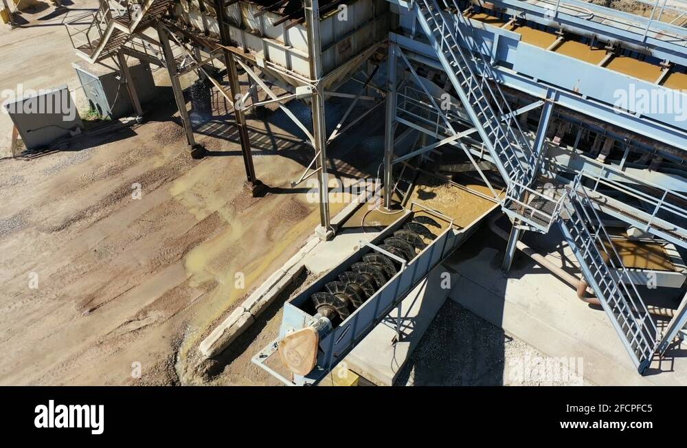 Corkscrew plant Stock Videos & Footage - HD and 4K Video Clips - Alamy