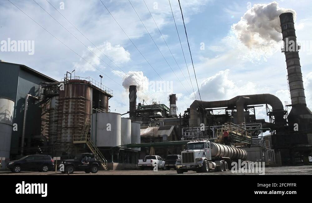 Sugar factory plantation Stock Videos & Footage - HD and 4K Video Clips ...