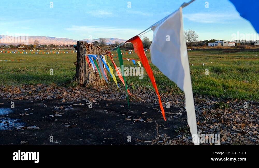 Parking flag Stock Videos & Footage - HD and 4K Video Clips - Alamy