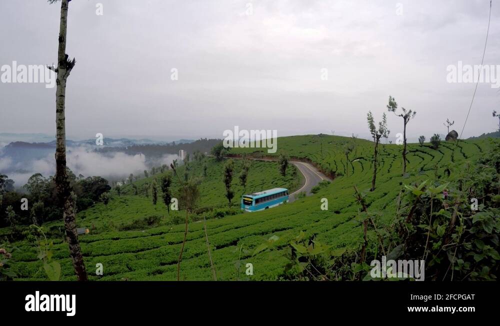 Munnar panorama Stock Videos & Footage - HD and 4K Video Clips - Alamy